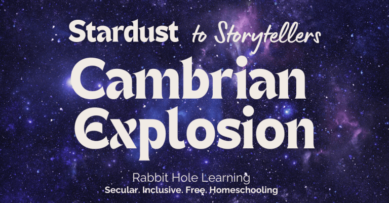 Cambrian Explosion – Rabbit Hole Learning